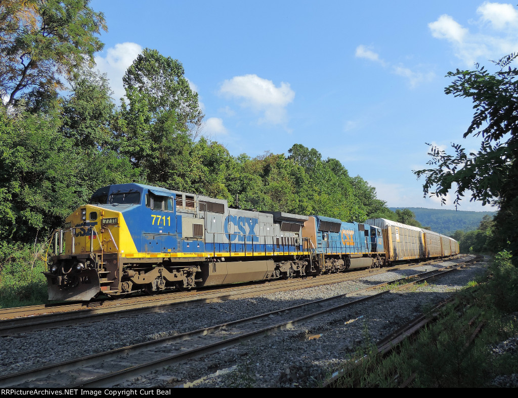 CSX 7711 and 4733